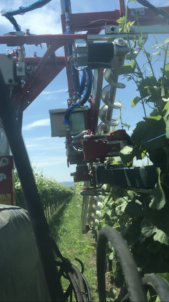 Dienstleistungen - Weinbau Lucas Dürr - Vollernter Talheim
