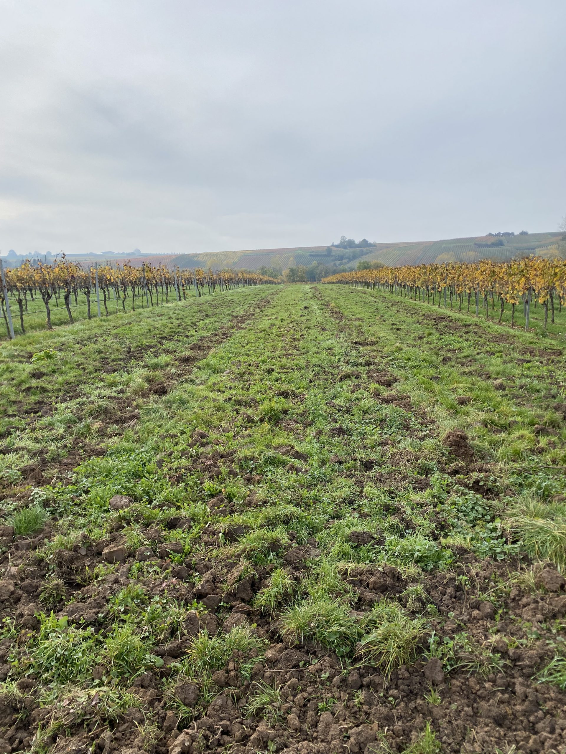 Spatenmaschine - Weinbau Lucas Dürr - Vollernter Talheim